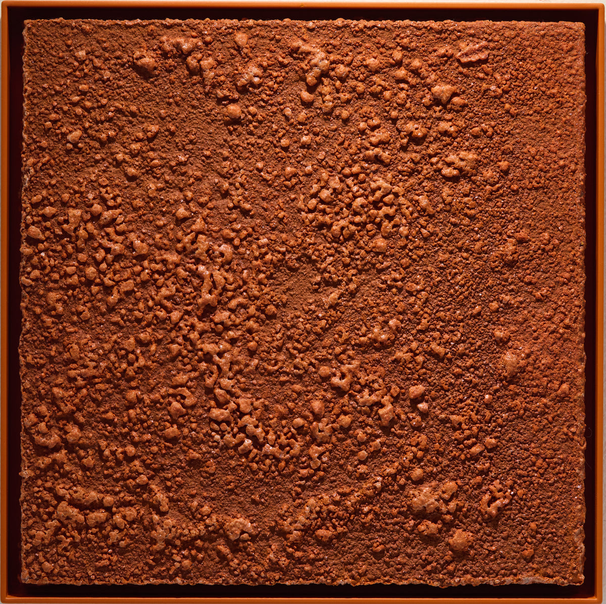 Orange / Sui – Speedy Shop